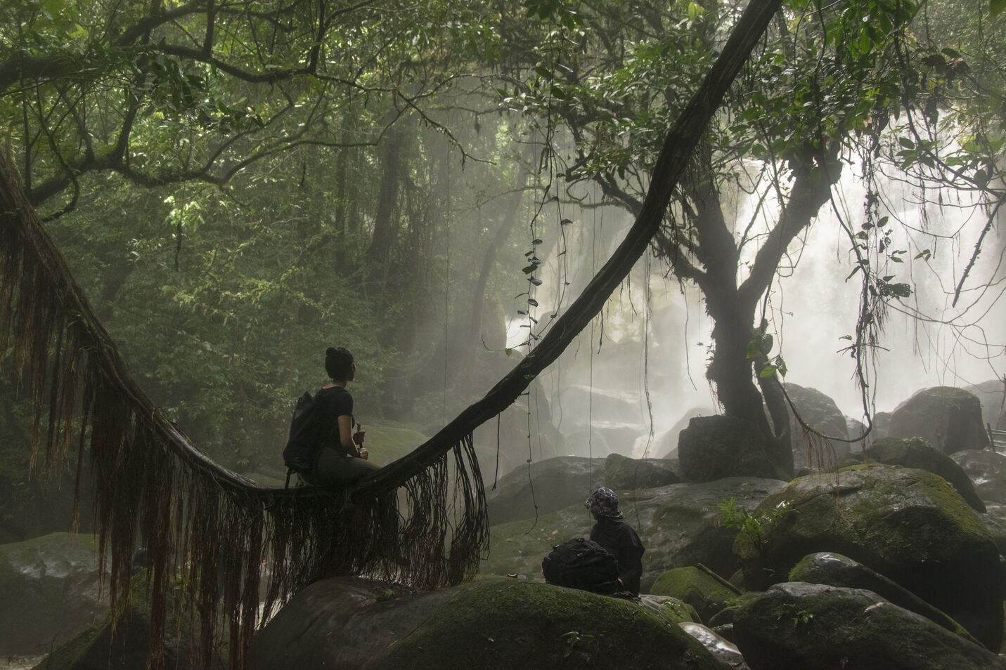 Opportunity: Illustrators for Human-Nature Community Engagement Guide ...